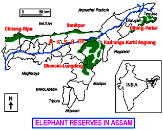 Wildlife:Ecology and Conservation: Project Elephant
