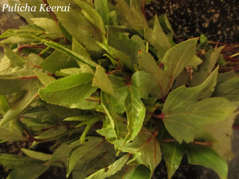 Priya's Virundhu: Keerai Varieties/Keerai Vagaigal/Greens in Tamil and ...