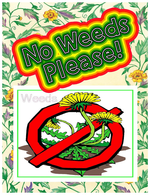 Children's Gems In My Treasure Box: No Weeds Please!