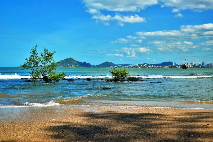 Atlântica, o Parque do final da Praia de Camburi - Natureza Capixaba