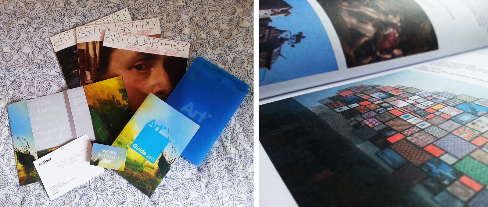 Emmeline Illustration National Art Fund Pass Experiences And Review