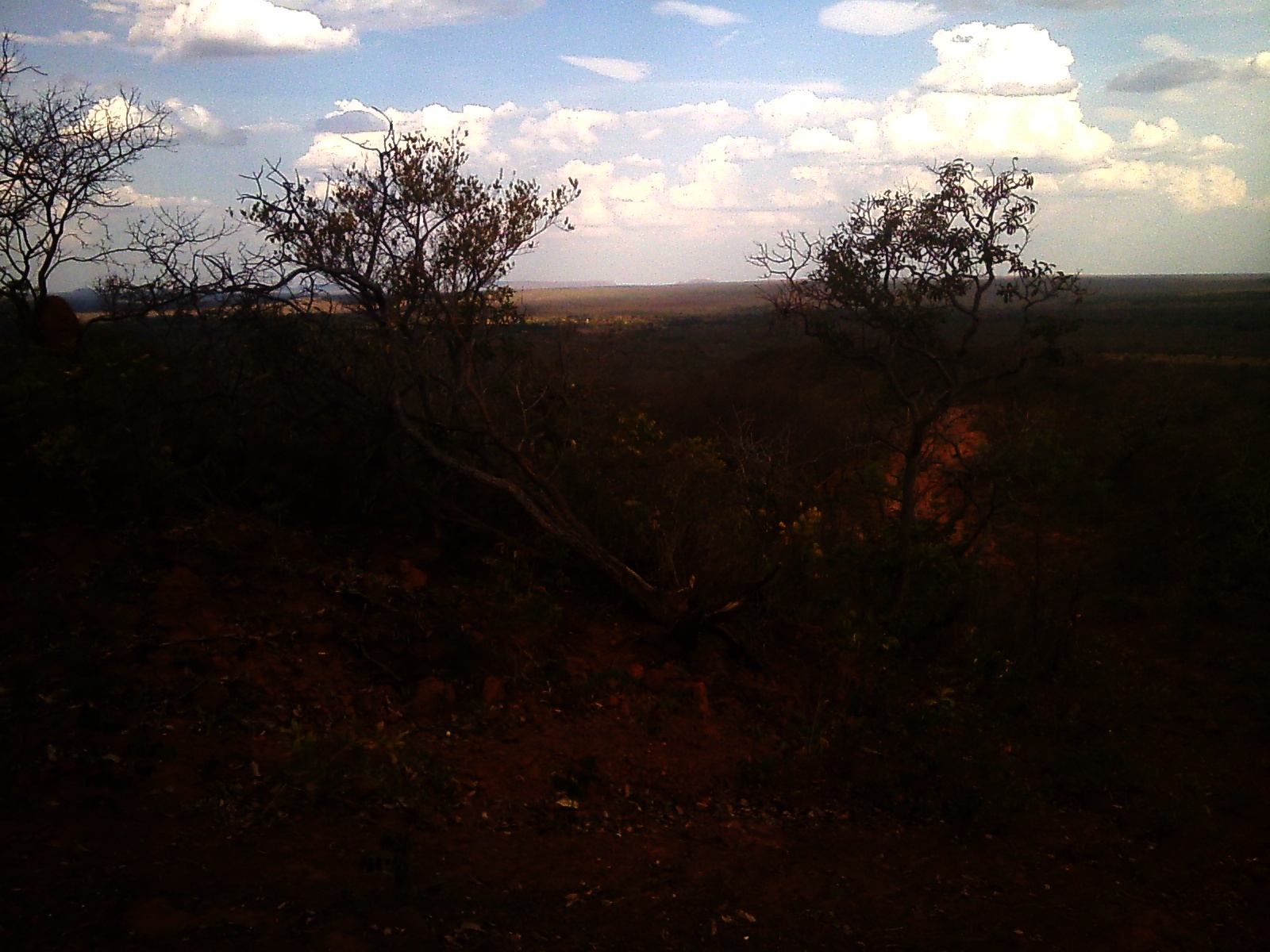 Captura Natureza: PRESERVE O CERRADO