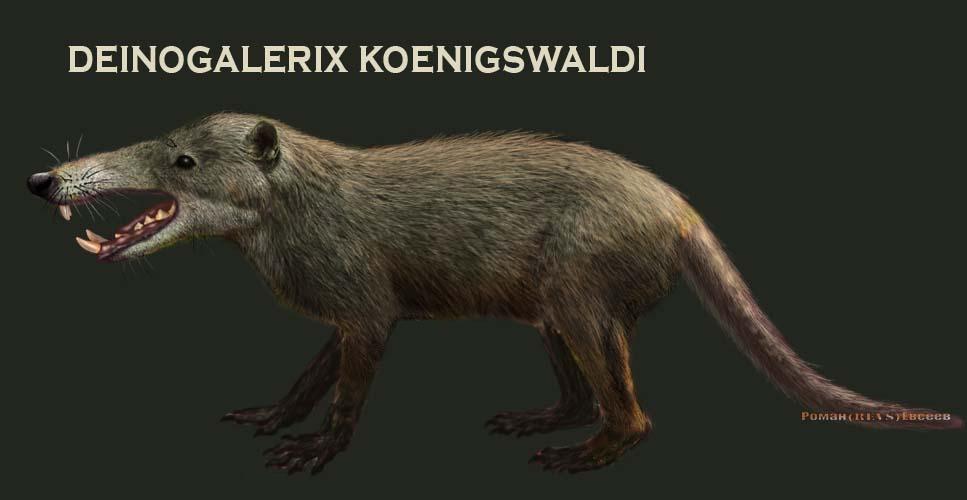 Los animales en la prehistoria: Animales prehistóricos con la letra D