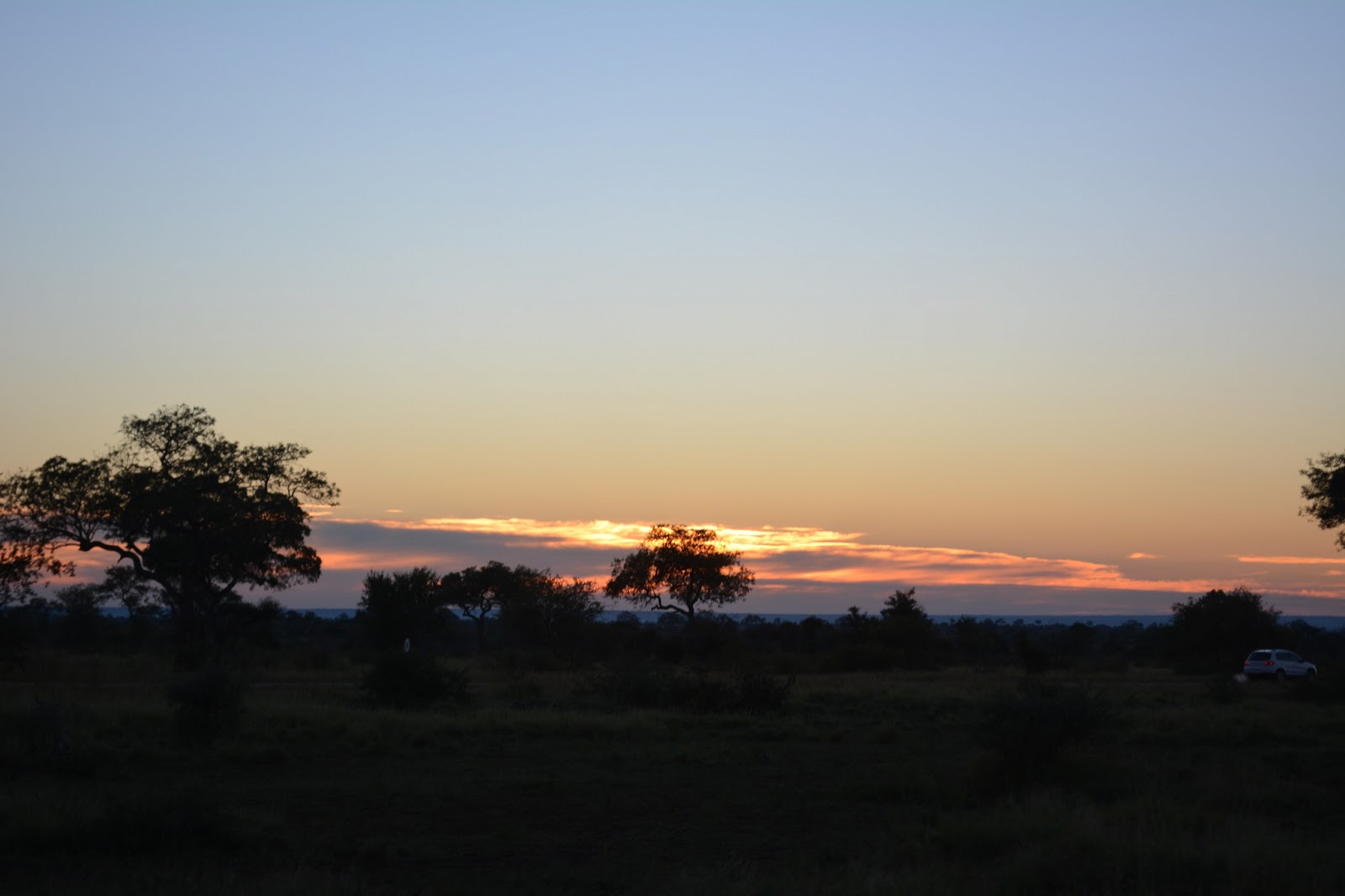 Do I Really Need That Rabies Shot...? : Kruger National Park--> Ha ...