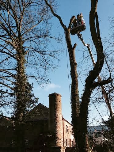 Pot House Hamlet: 2014