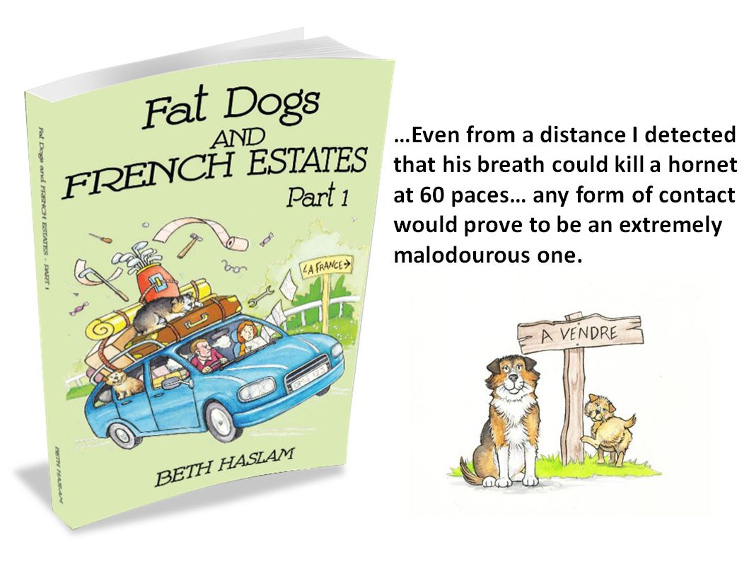 Beth Haslam - Author of the Fat Dogs and French Estates series: March 2017