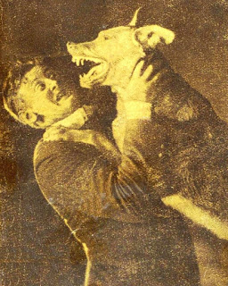 ShukerNature: WOLVES, JACKALS, COYOTES, AND SOME VERY UNUSUAL 'HILL ...