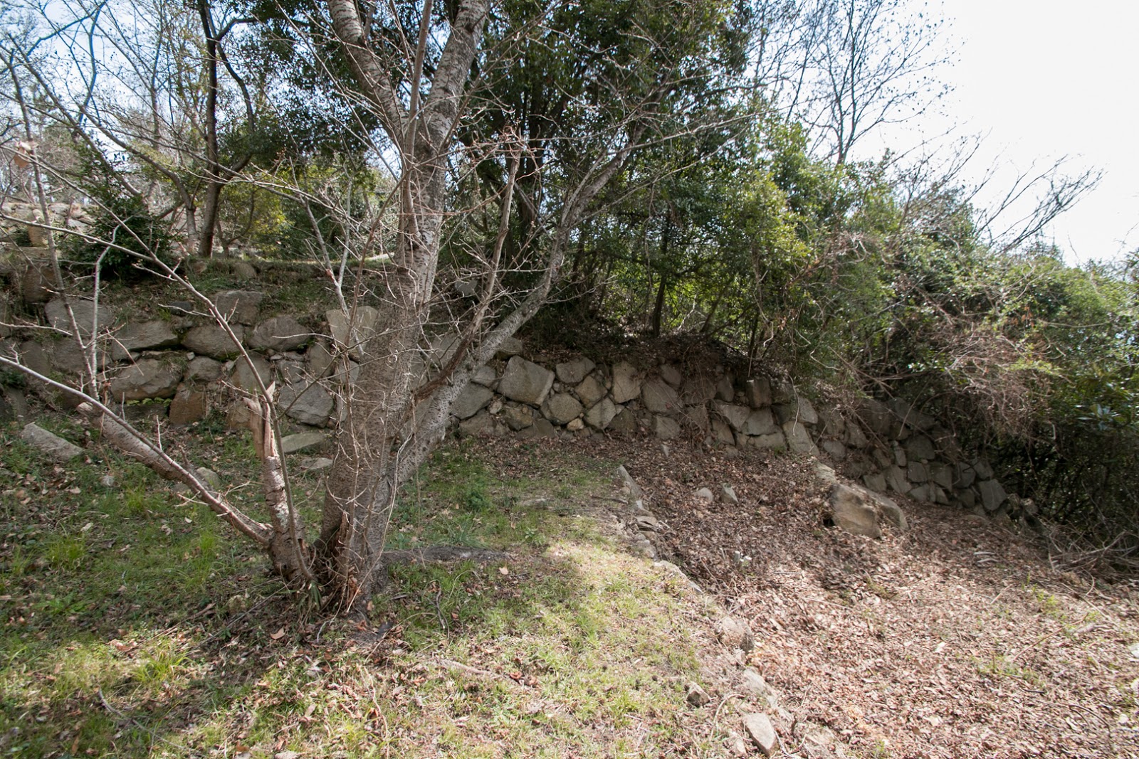 Shimotsui Castle -Castle looking down straight and bridge- | Japan ...