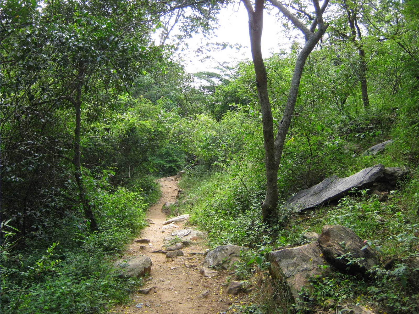 MuthyalaMaduvu , Pearl Valley , Anekal , near Bengaluru