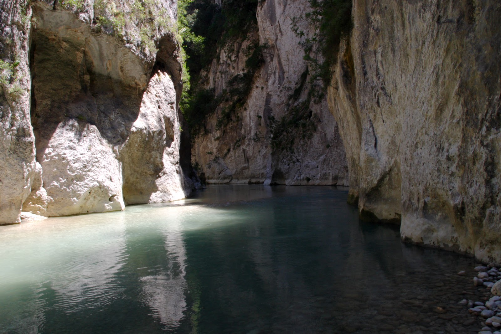 Natuur! Landschap, kunst en cultuur, portret en overige creatieve ...