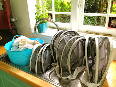 Beekeeping with The Hive Honey Shop: 2 Most Important Bee Items to Keep ...