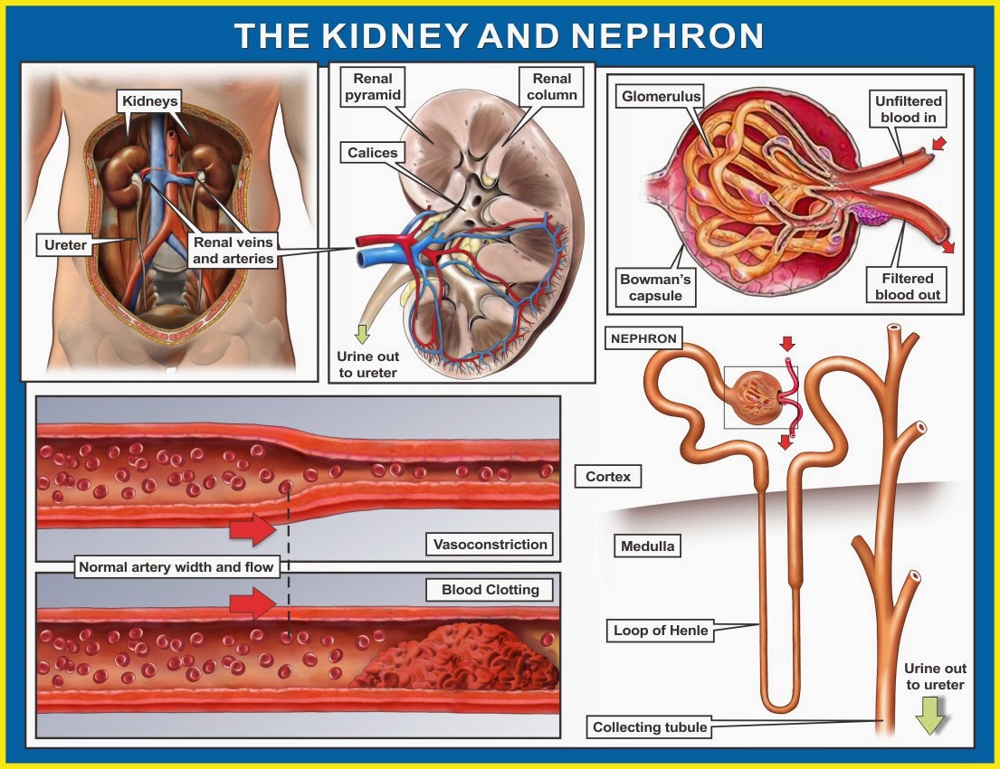 Veterinary GMO Science Blog : January 2014