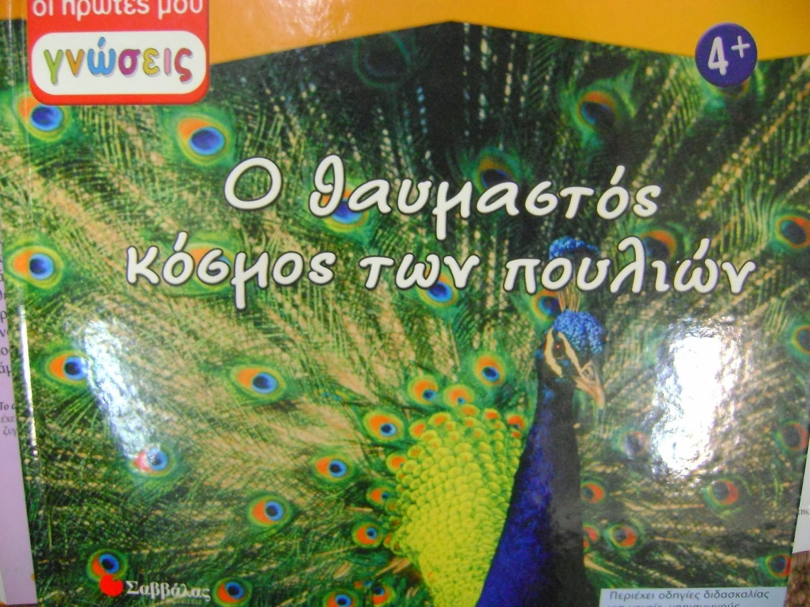 ΝΗΠΙΑΓΩΓΟΙ ΑΡΚΑΔΙΑΣ: ΣΧΕΔΙΟ ΕΡΓΑΣΙΑΣ: ΤΑ ΠΟΥΛΙΑ-Νηπιαγωγείο Βυτίνας