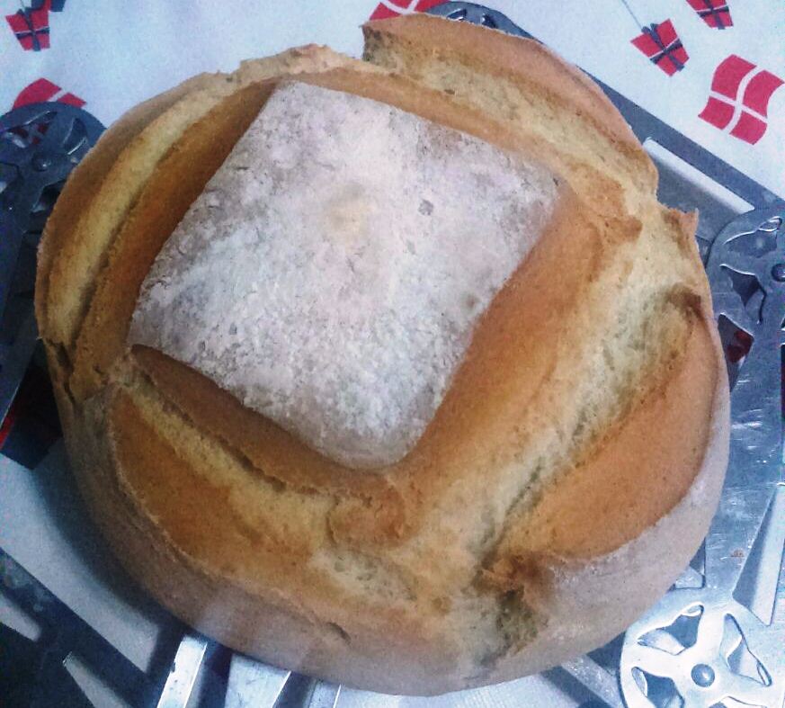 enero 2017 ~ El mirlo de papel