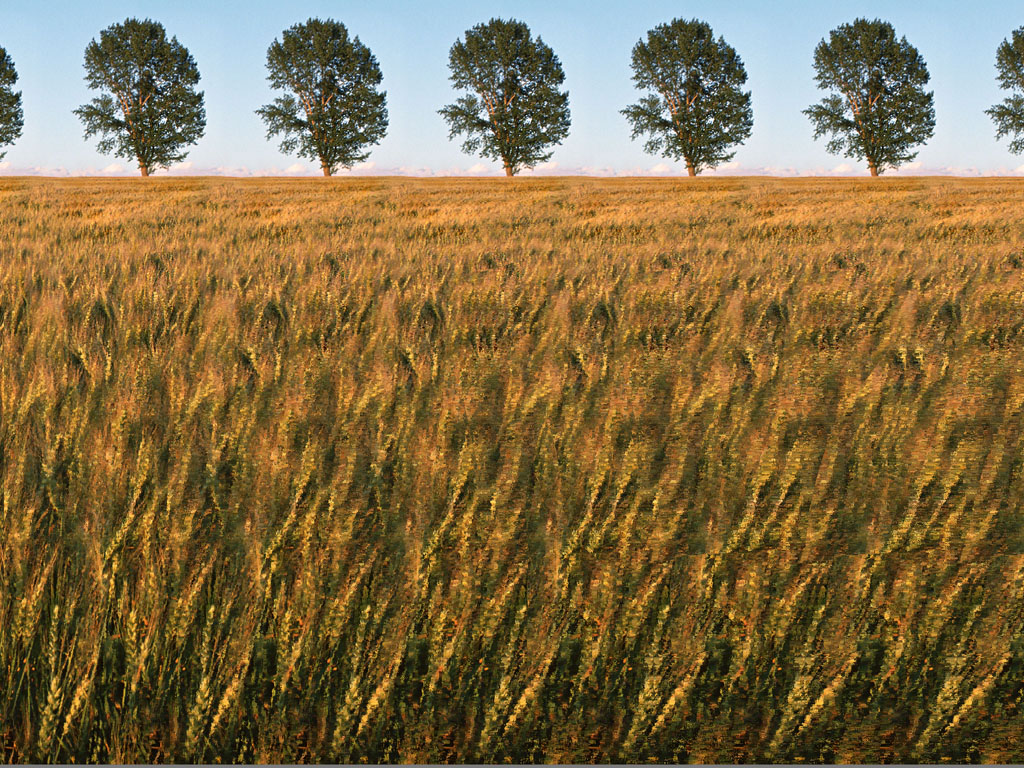 super kuka: Estereogramas - Imagens 3D