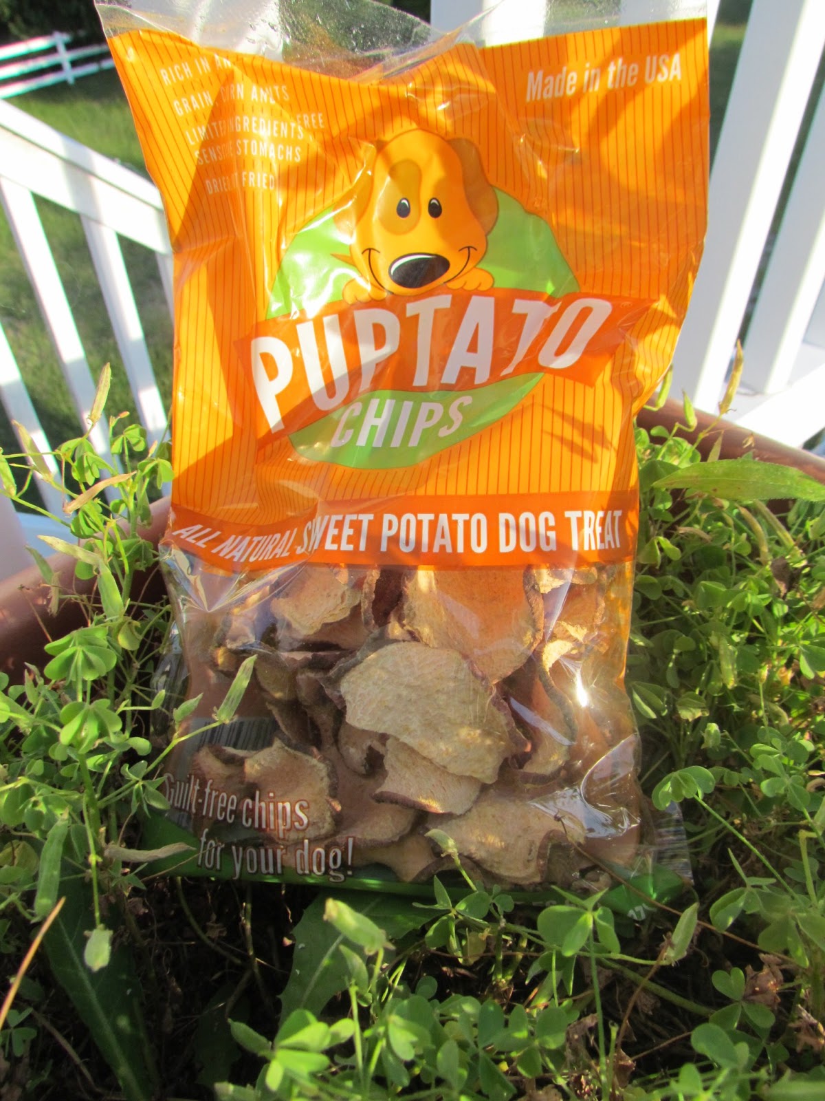 two spoiled pugs: monthly review: June BarkBox