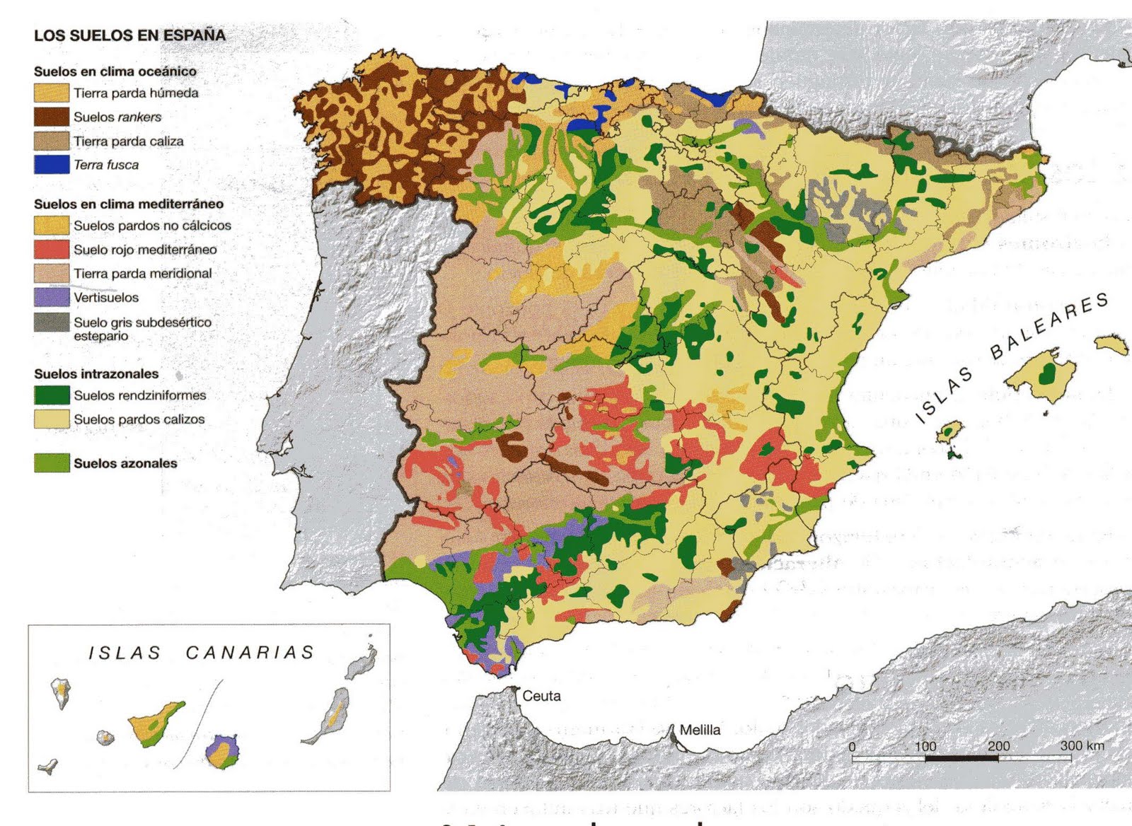 Don Vitorio: Tema 3 La diversidad hídrica y biogeográfica