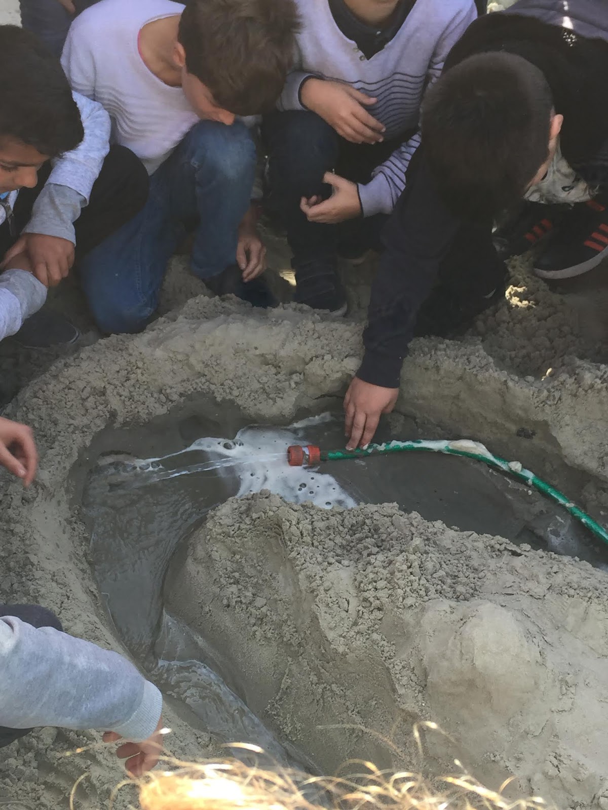 Derde graad - Villa kakelbont - juf Nele en meester Johan: Holle en ...