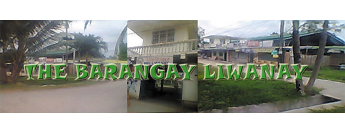 HISTORY OF BARANGAY LIWANAY