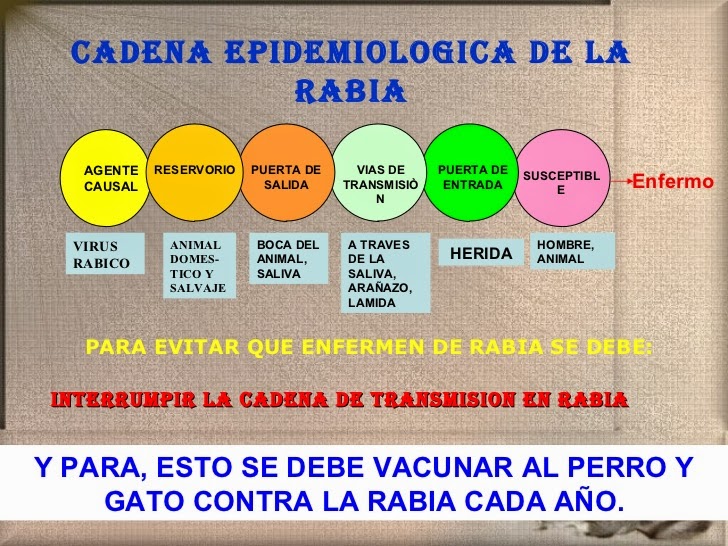 Virus de la Rabia