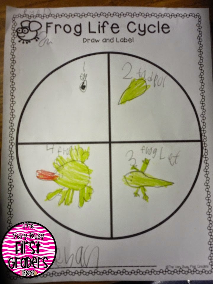 The Very Busy First Graders: Frog and Butterfly Fun!