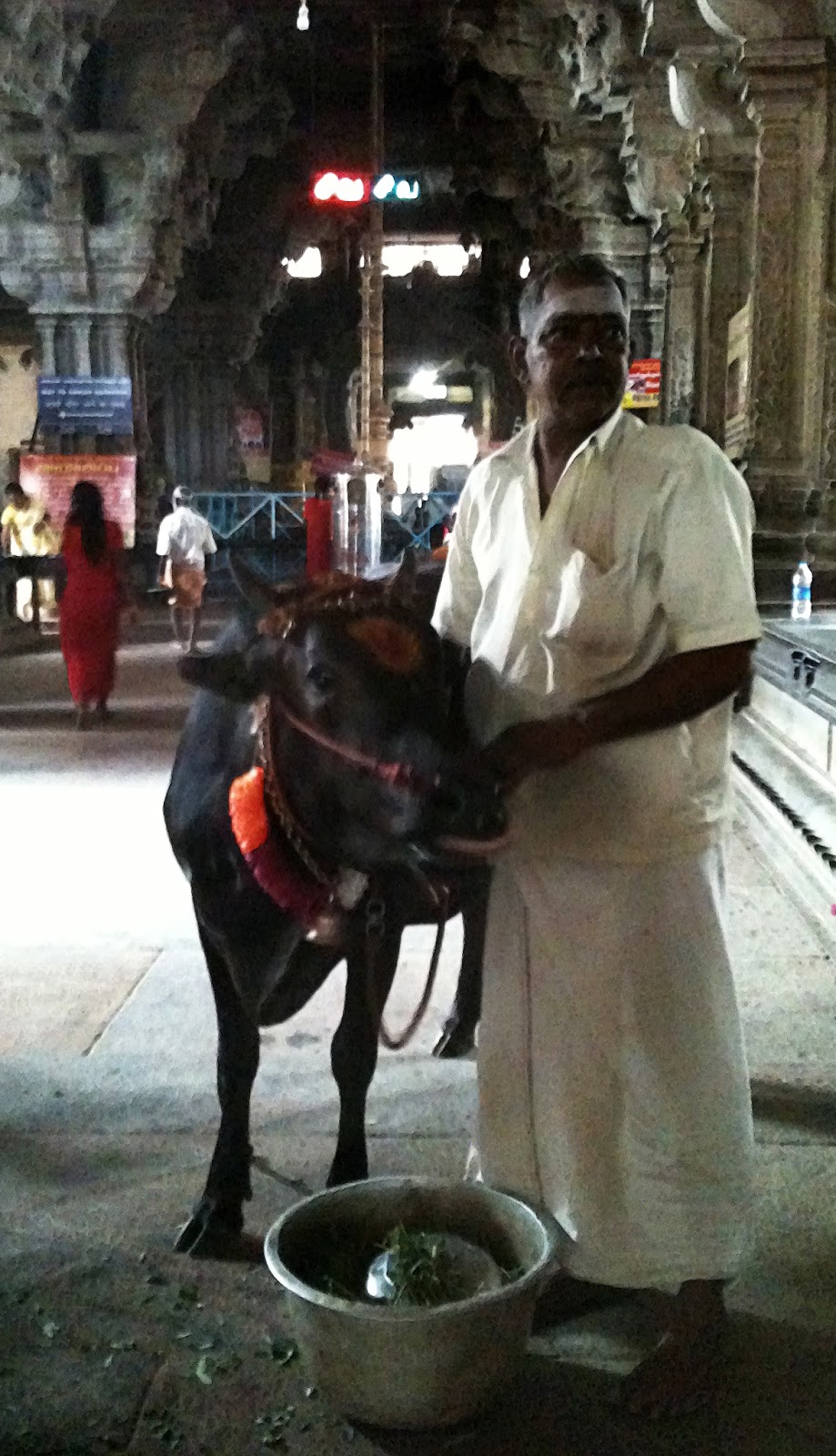 ESTUDANDO YOGA: PANCHA BHUTA STALAM - JALA LINGAM TEMPLE III