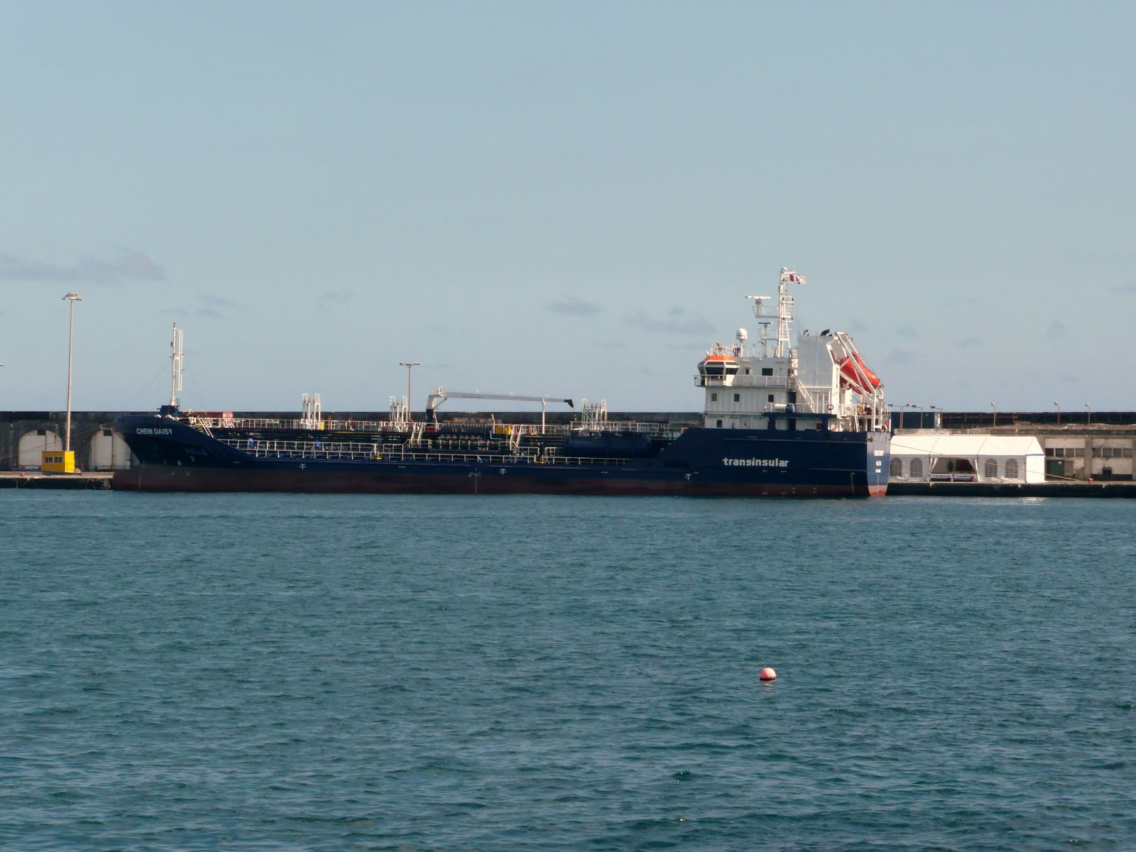 O Porto da Graciosa: Transinsular apresentou hoje em Ponta Delgada o ...