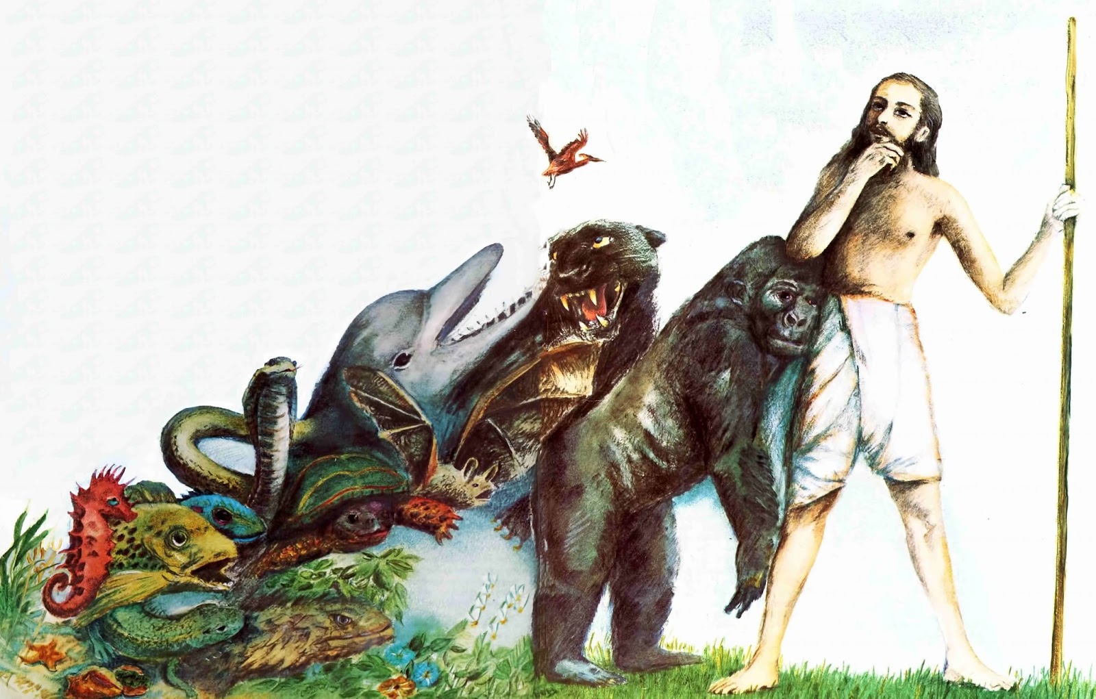 PanditInfo: Avatars of Lord Vishnu and Darwin's Theory of Evolution