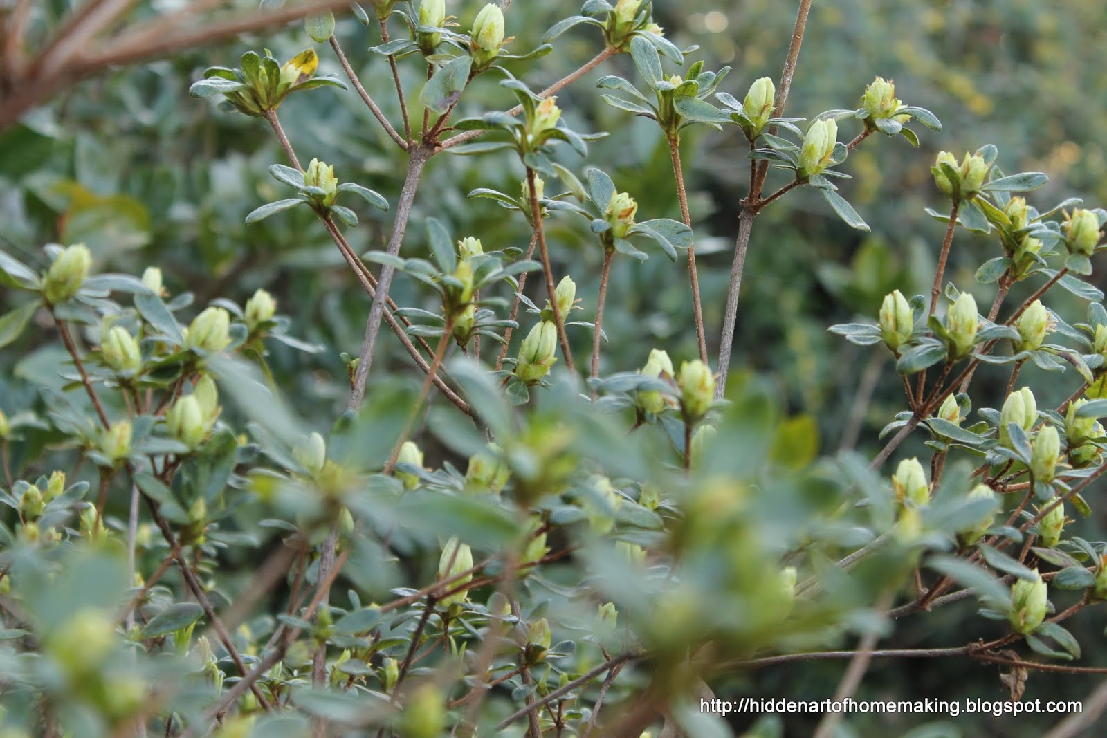 hidden art of homemaking: Good Friday