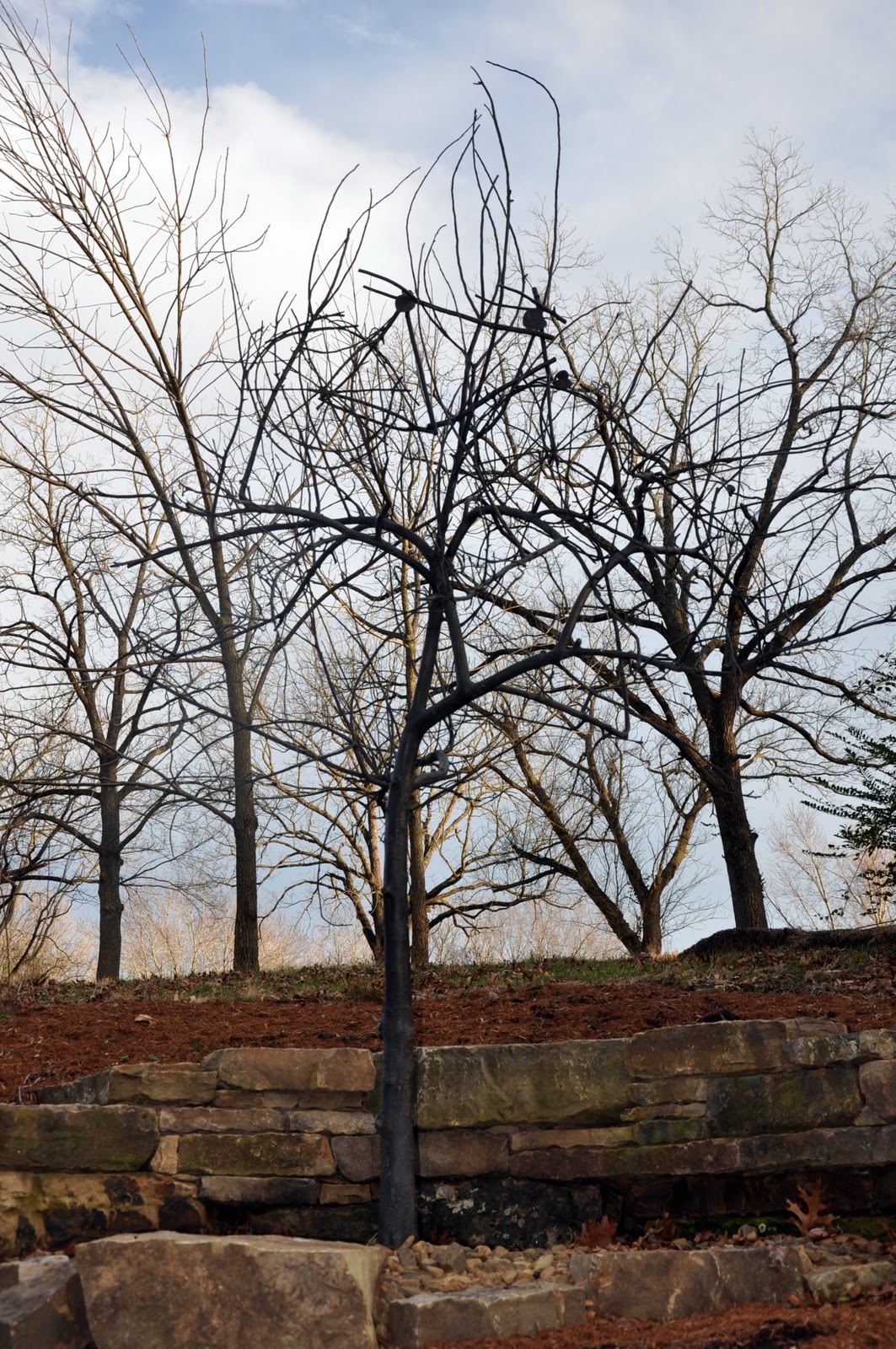 Kindall Family News: Crystal Bridges Museum of American Art