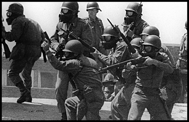 Sean Linnane: YOU ASKED - I ANSWERED