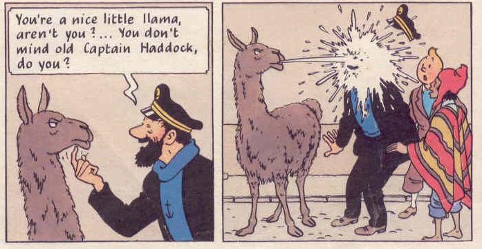 Sunday Comics Debt: Tintin Vandalism