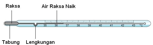 Kelebihan dan Kekurangan Termometer Raksa dan Termometer Alkohol