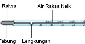 Kelebihan dan Kekurangan Termometer Raksa dan Termometer Alkohol ...