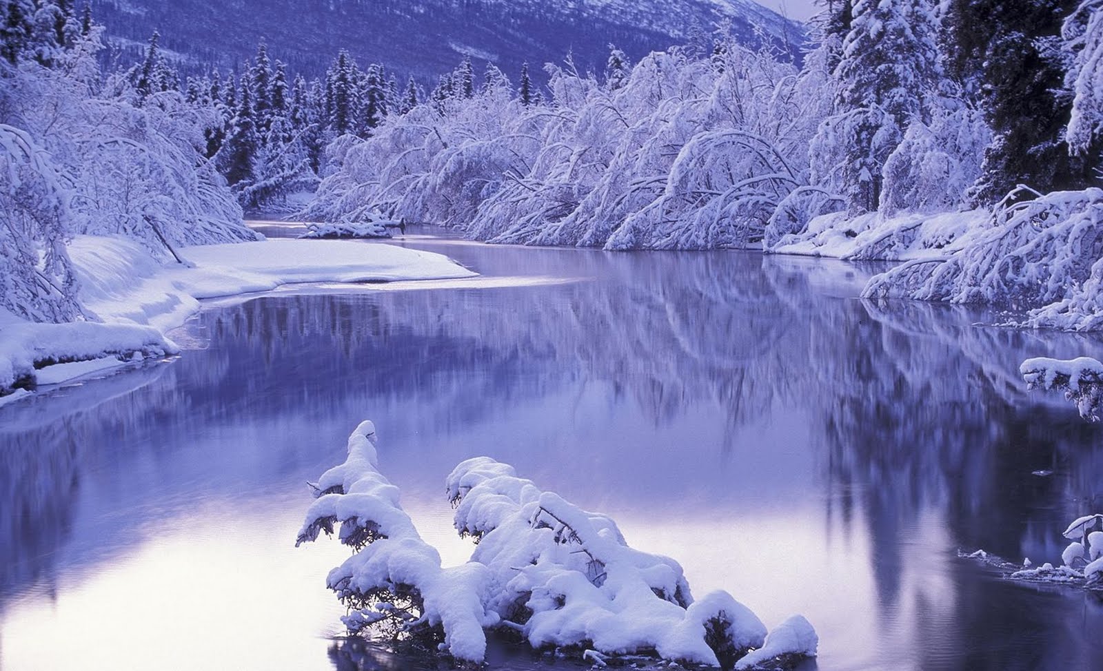 Nature HQ Wallpaper Set 3 | PTP