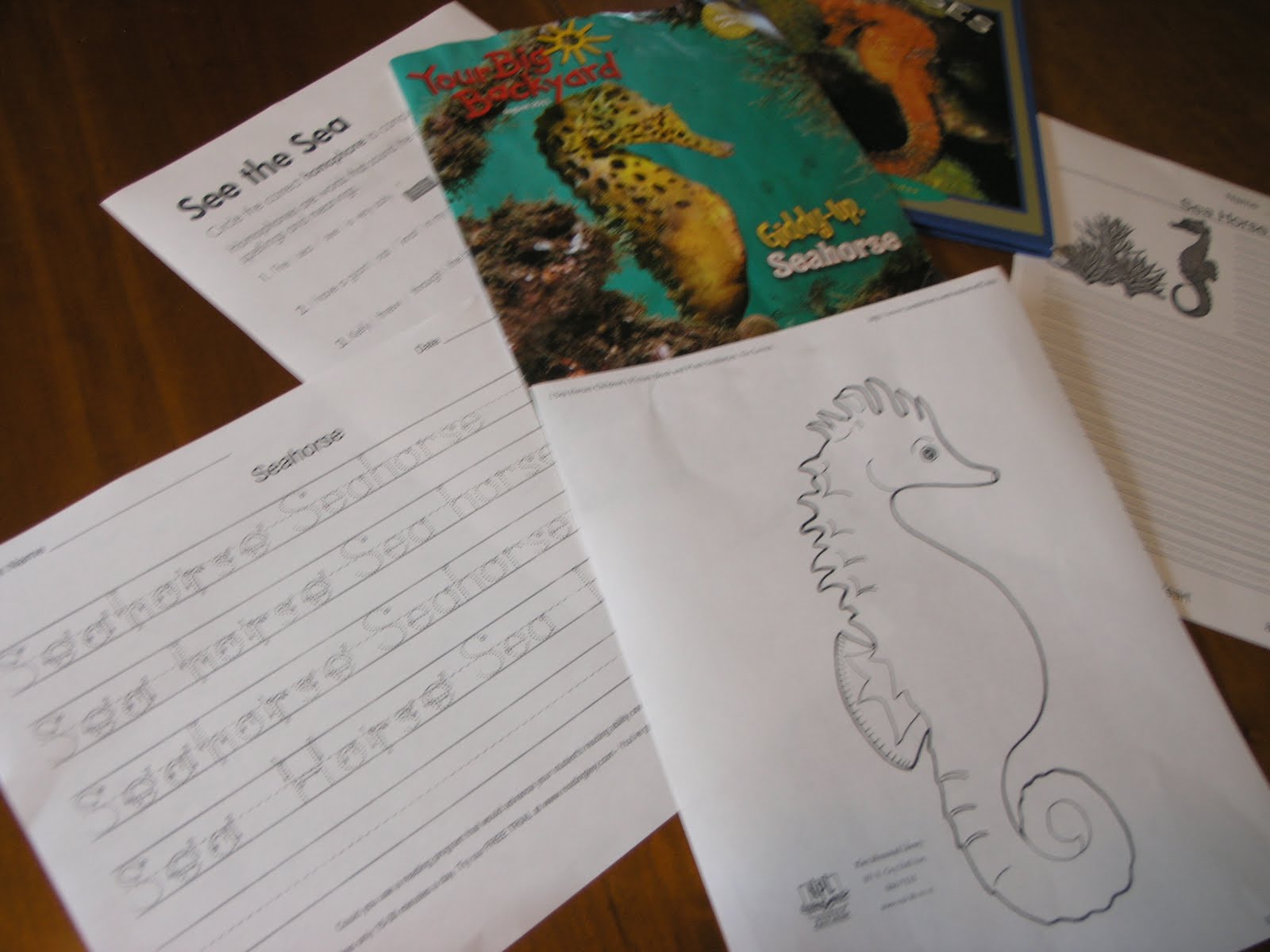 To Every Purpose: See the Seahorse Unit Study