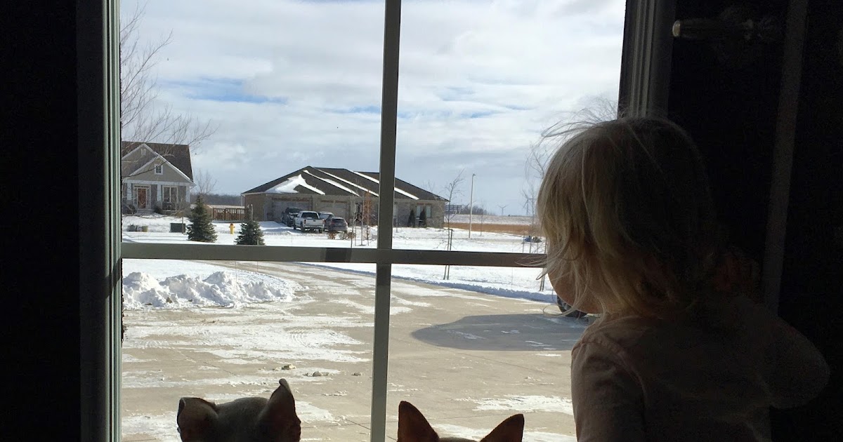 Surviving Winter's Deep Freeze with a Toddler | To & Fro