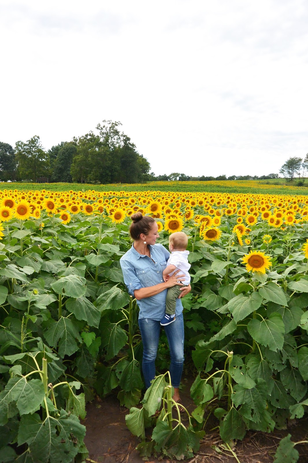 Trip to the Sunflower Farm | Stripes and Whimsy