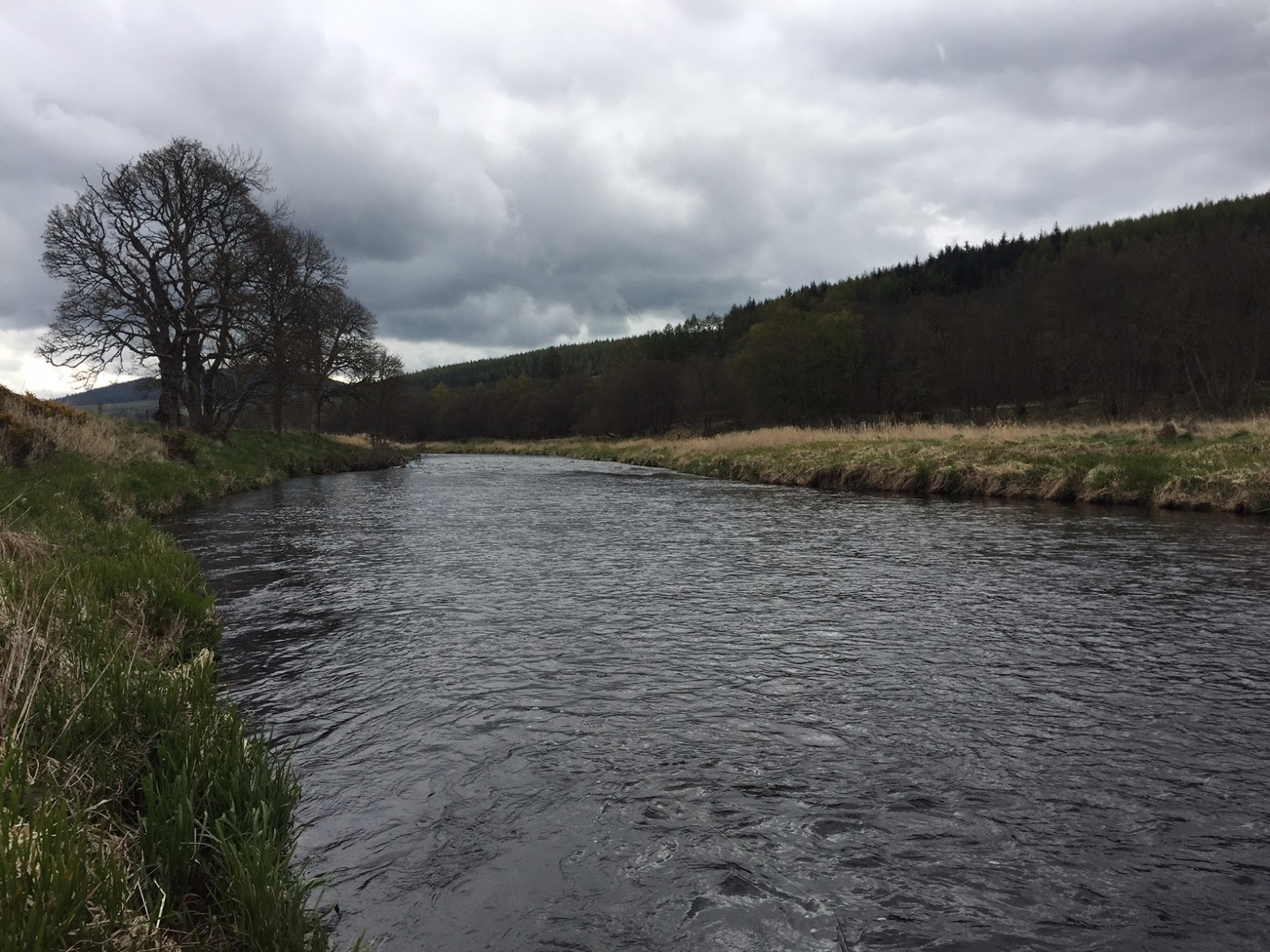 Dee & Don Salmon Fishing: Castle Forbes - River Don