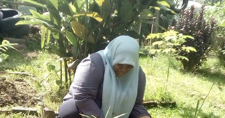 BLOG SERASI SK INANAM LAUT: AKTIVITI MENANAM POKOK HERBA