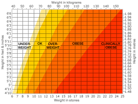 Fitness in Sports: fitness test in sport