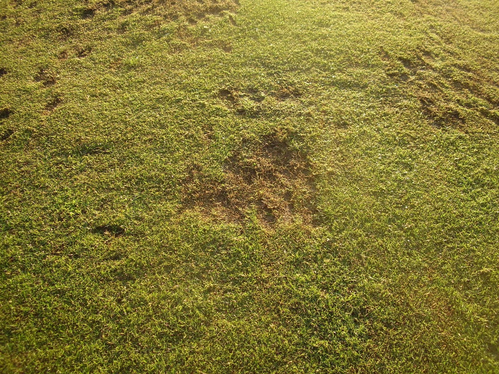 Indian Hills Golf Course Maintenance: 2013