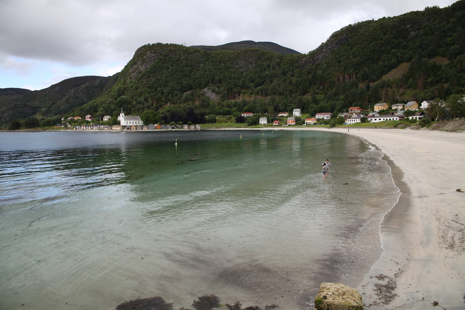 Svalbardliv: Selje og Stadt