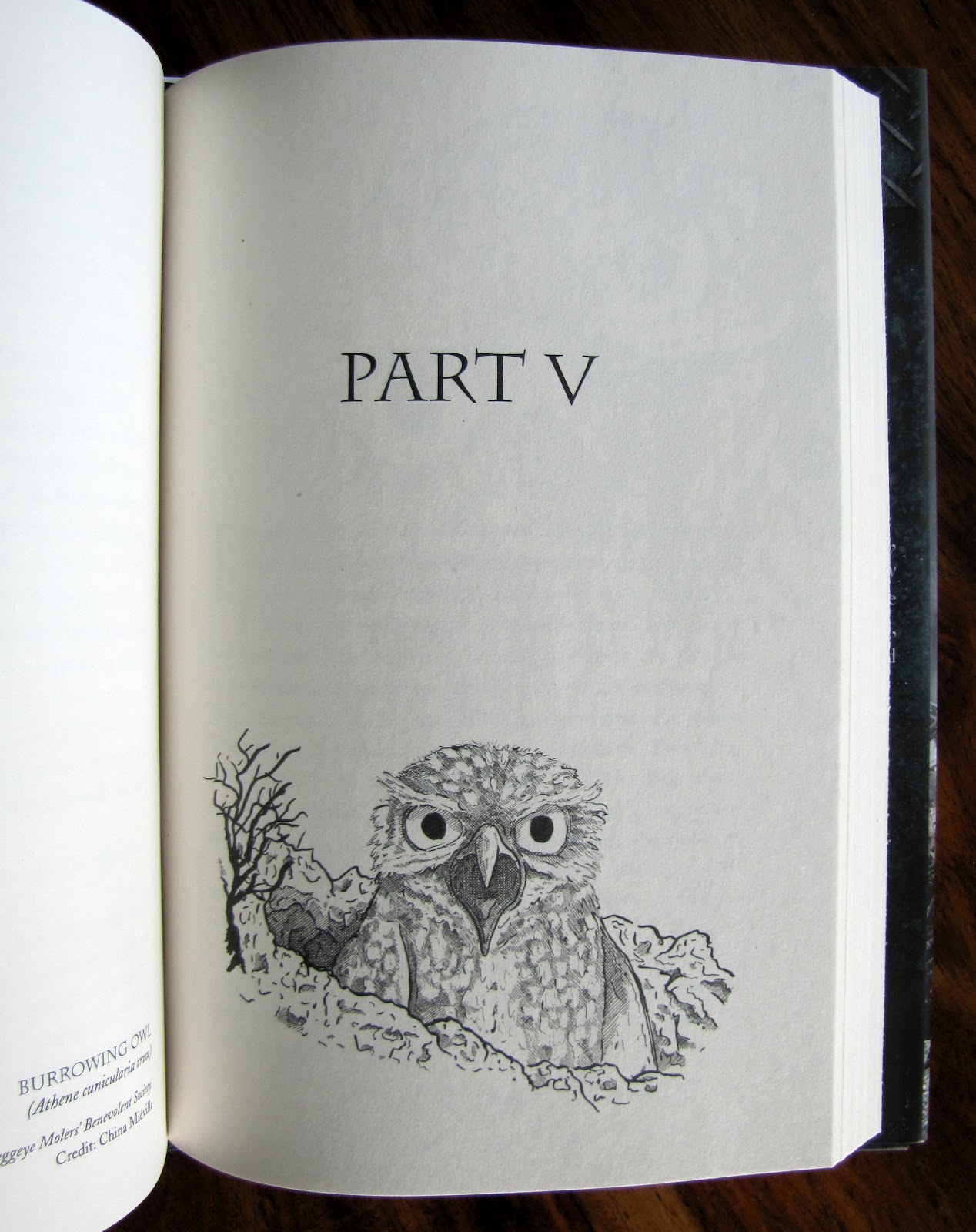 Railsea - China Miéville ~ Leituras & Resenhas