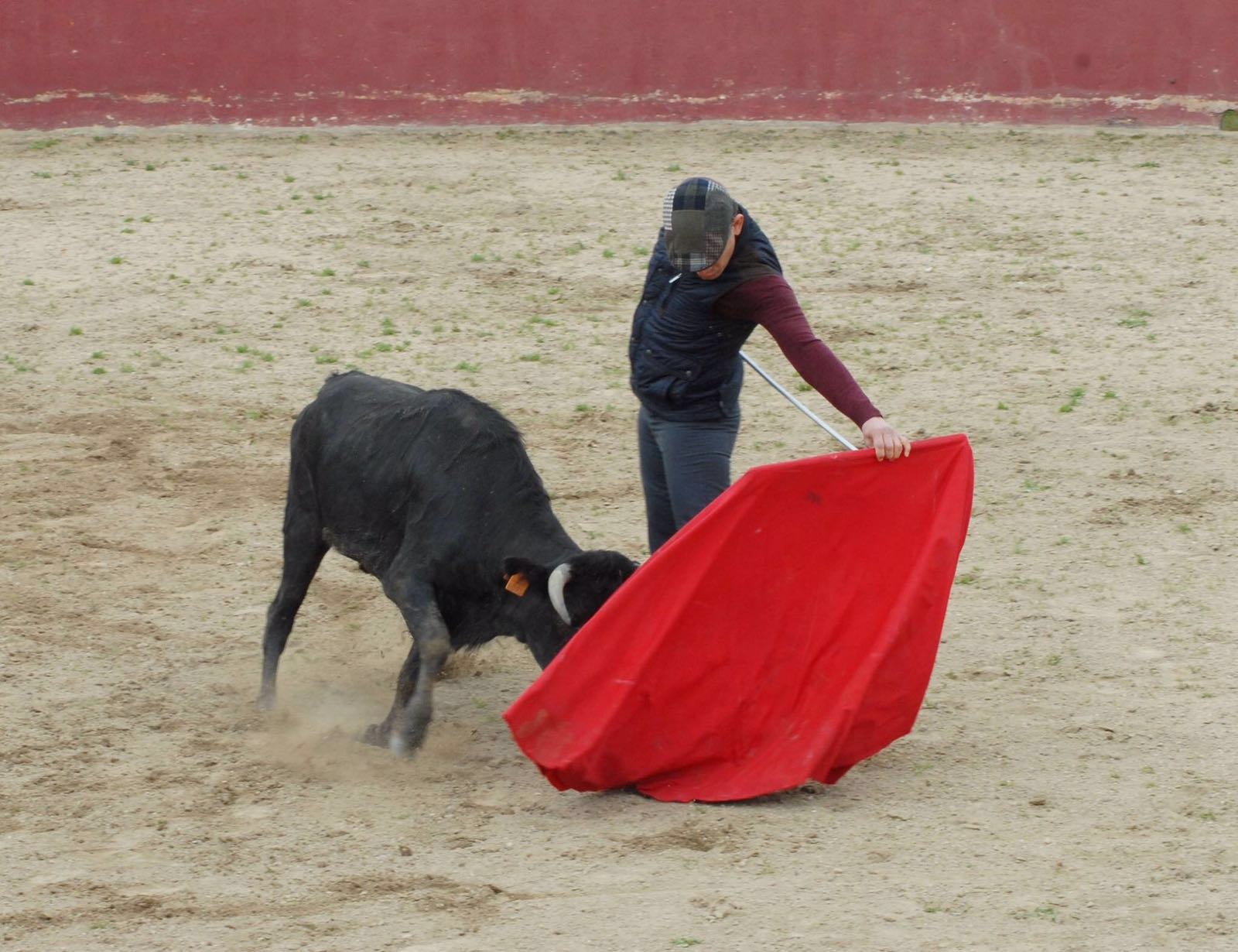 TORERIAS DE CHELIN: CHIBOLO DE LIMA TENTO EN LA GANADERIA DE PASANHA EN ...