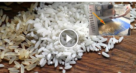 True story behind manufacturing of 'plastic rice'
