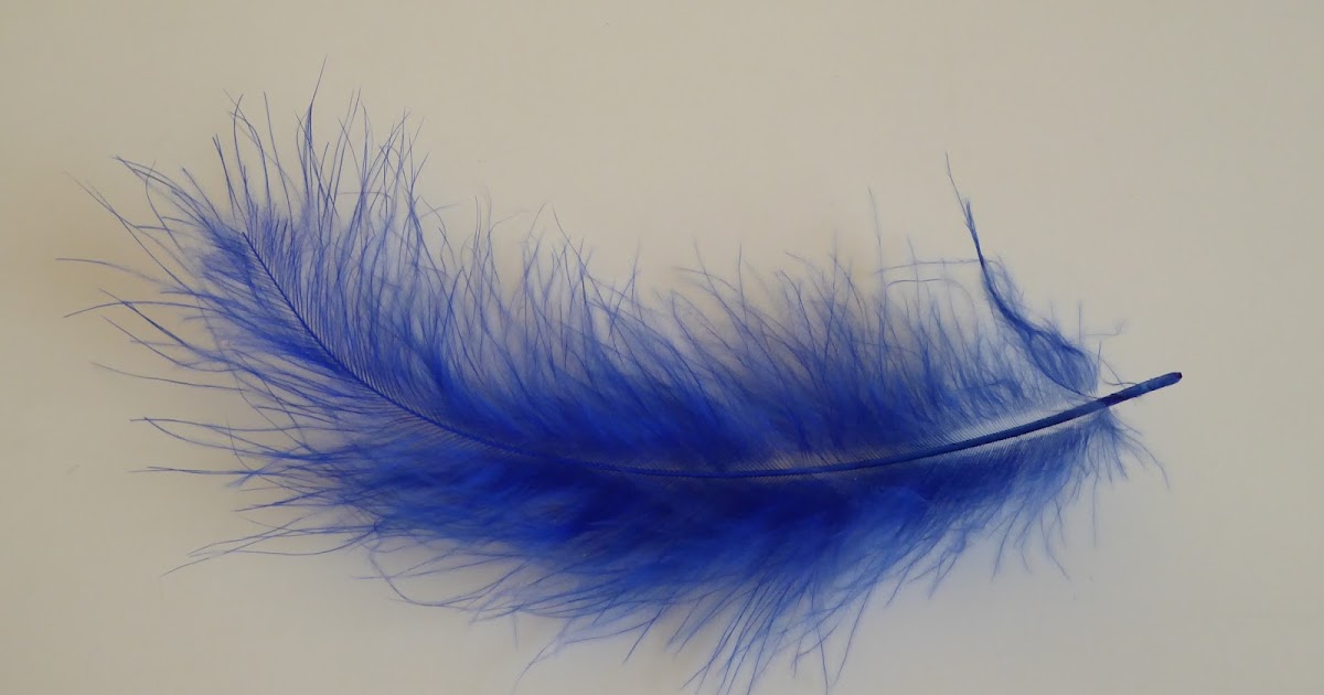 Family FECS: Tickle Baby with Feather