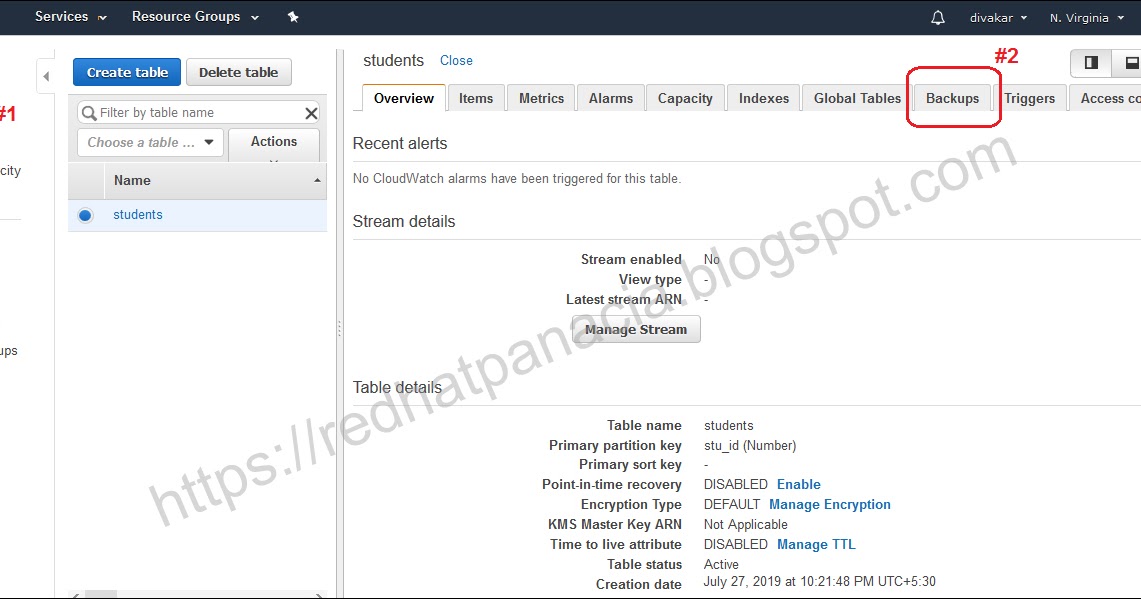 DynamoDB Database Backup using AWS Console - RedHat Panacia