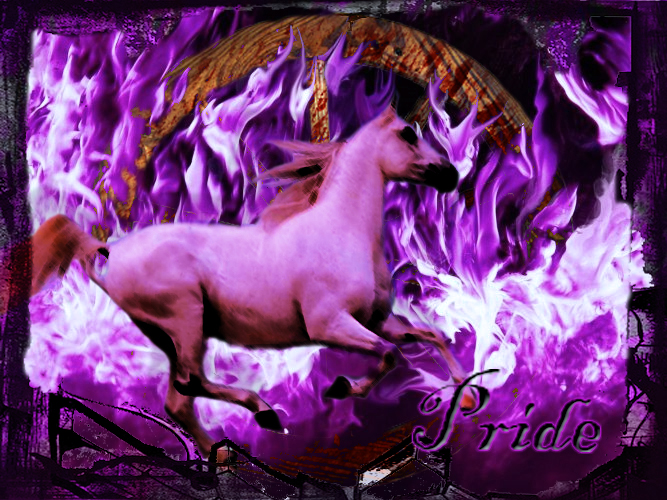 Nicole Meiring Photography: 7 Deadly Sins - Pride (Vanity)