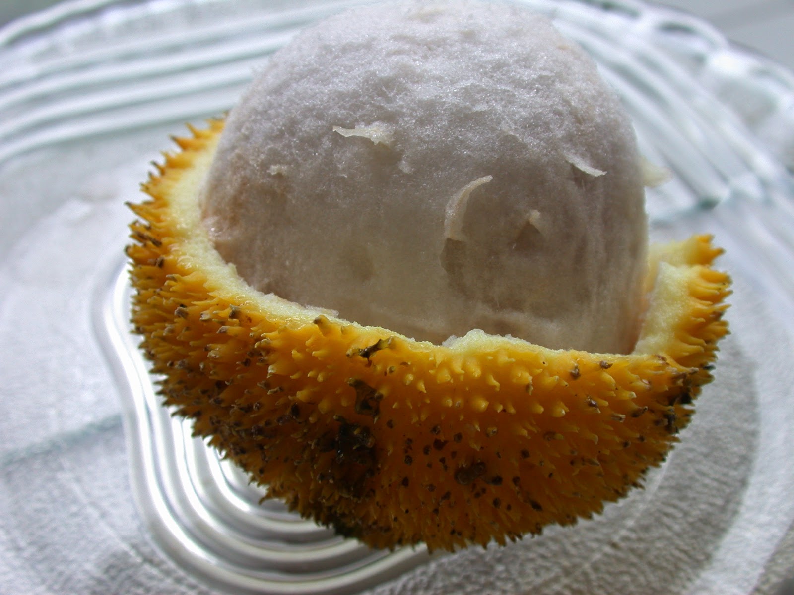 Galya Tours: 23 motivos por el cual deberías conocer Santa Cruz